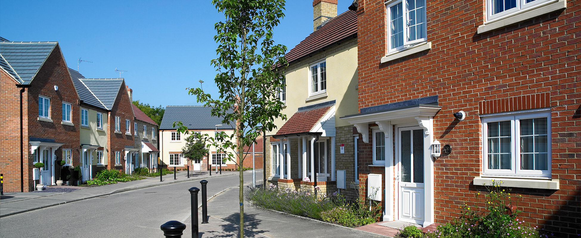 Sutton Mead - Cannon Kirk